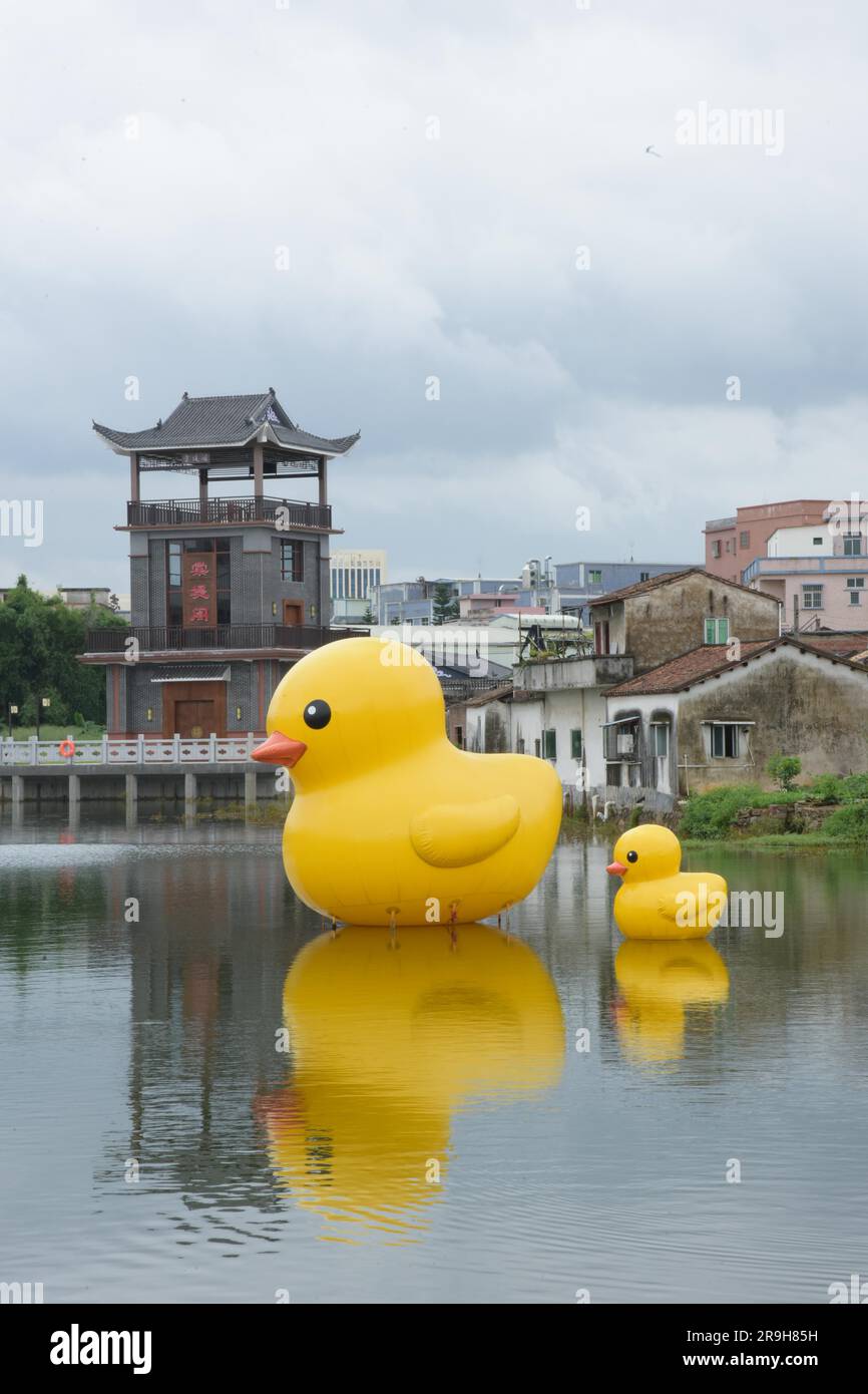 One big inflatable yellow duck and one little inflatable yellow duck ...