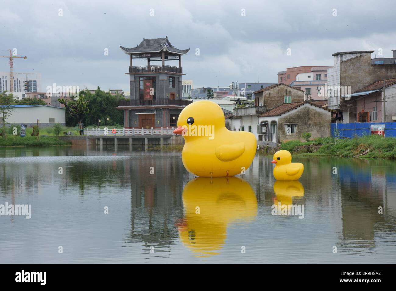 One big inflatable yellow duck and one little inflatable yellow duck ...