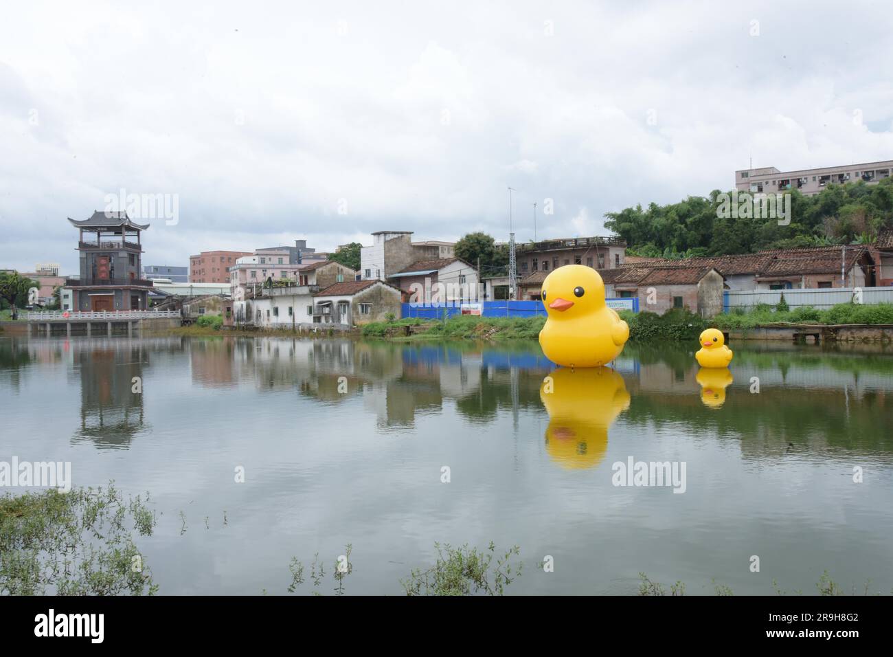 One big inflatable yellow duck and one little inflatable yellow duck ...