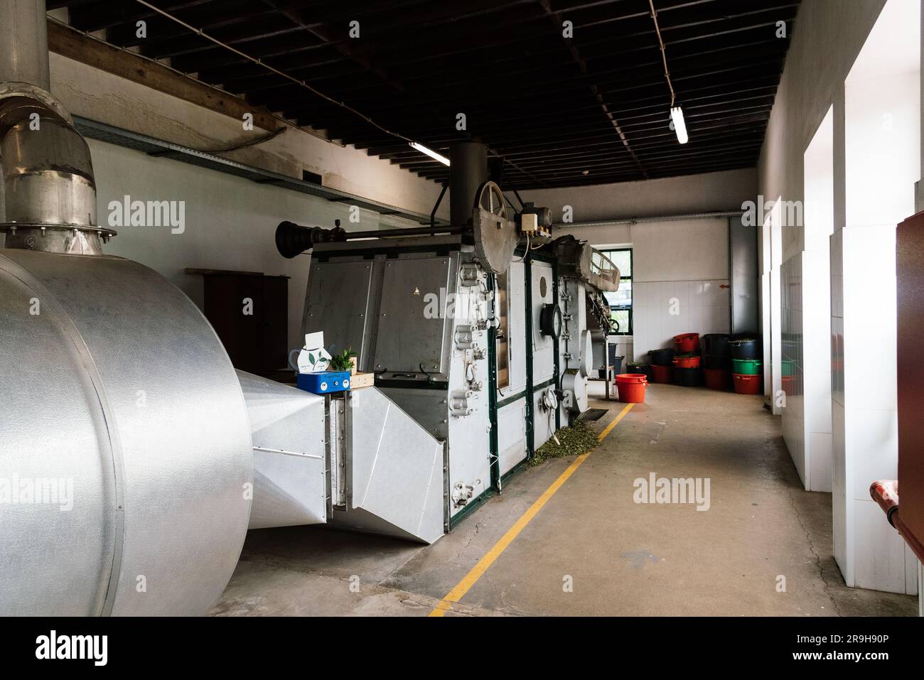 Ponta Delgada, Portugal - July 5th, 20223: Gorreana Tea Factory. It is ...