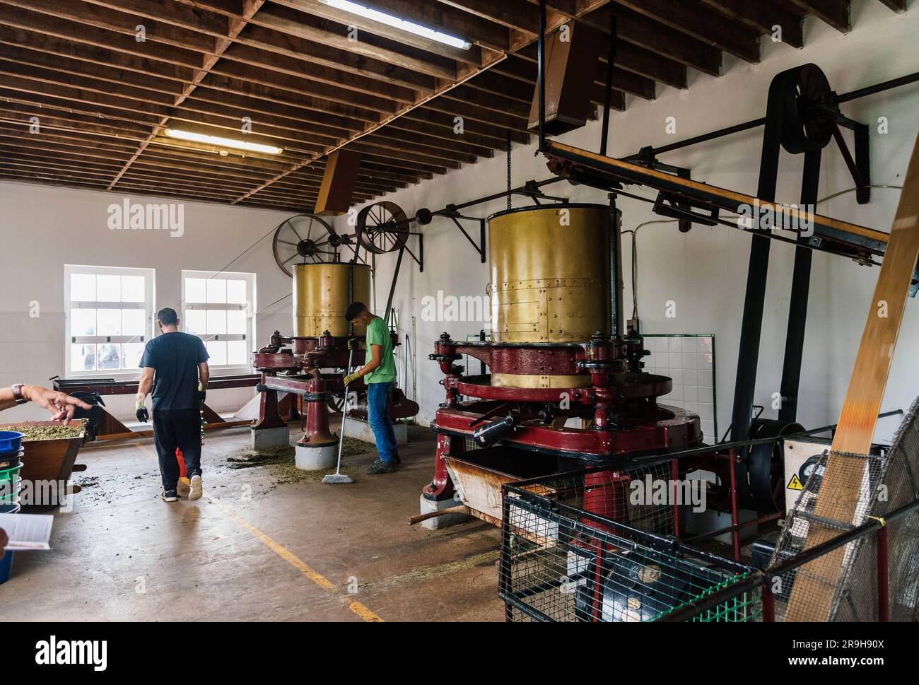 Ponta Delgada, Portugal - July 5th, 20223: Gorreana Tea Factory. It is ...