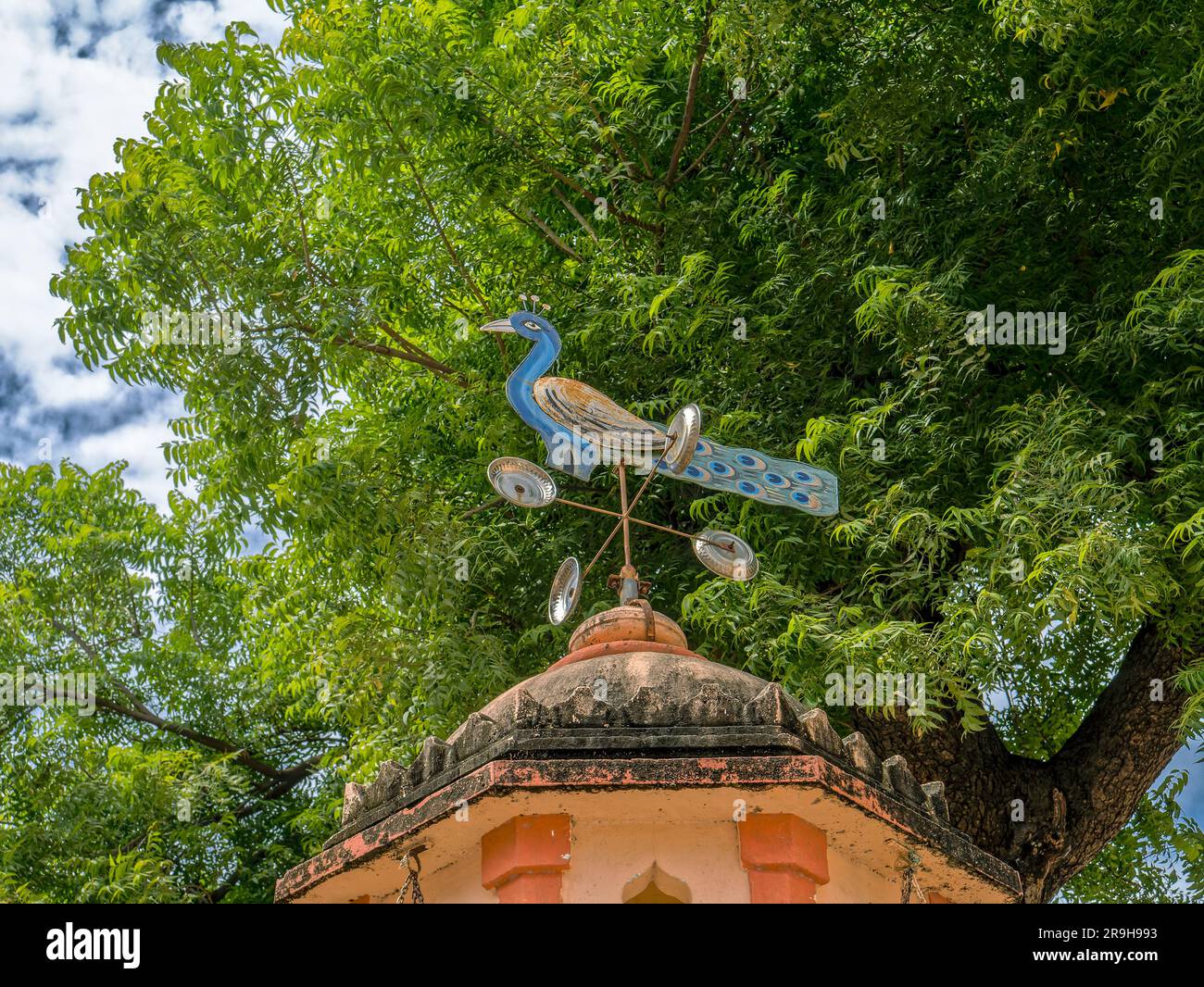 10 30 2019 Vintage Mild steel Carved Pickock on a Chabutra or Chabutara ...
