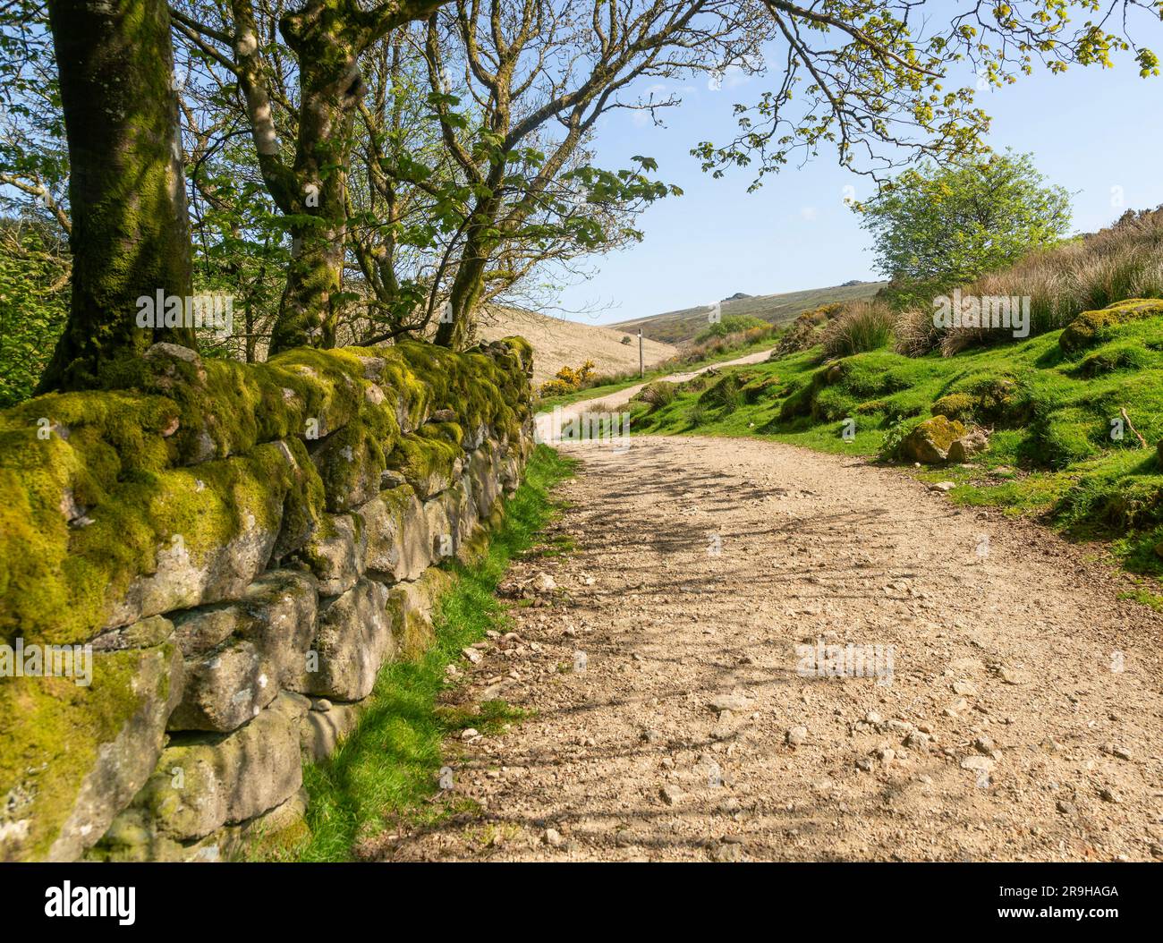 Walking route track West Dart valley walk, from near Two Bridges ...