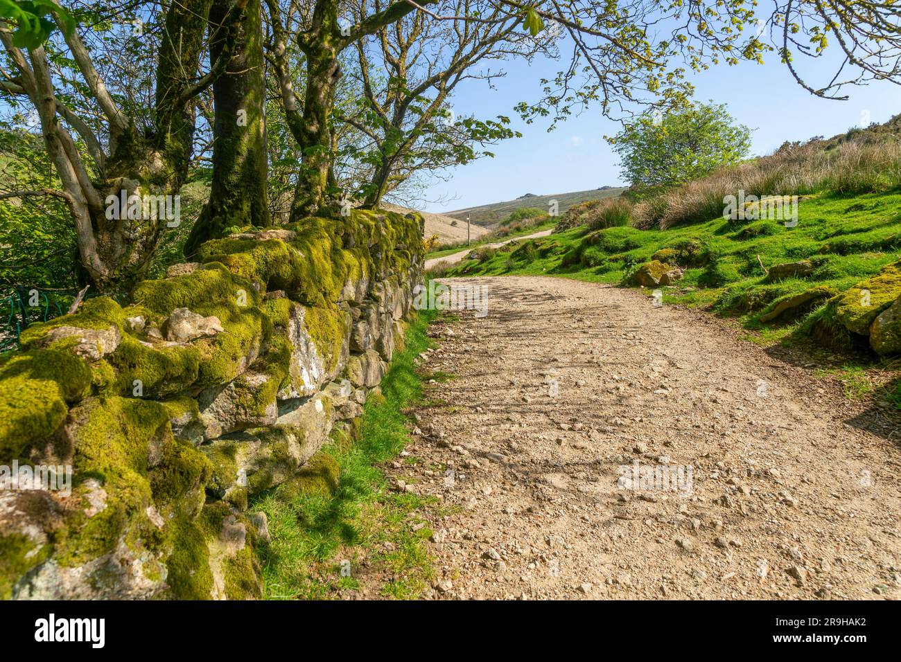 Walking route track West Dart valley walk, from near Two Bridges ...