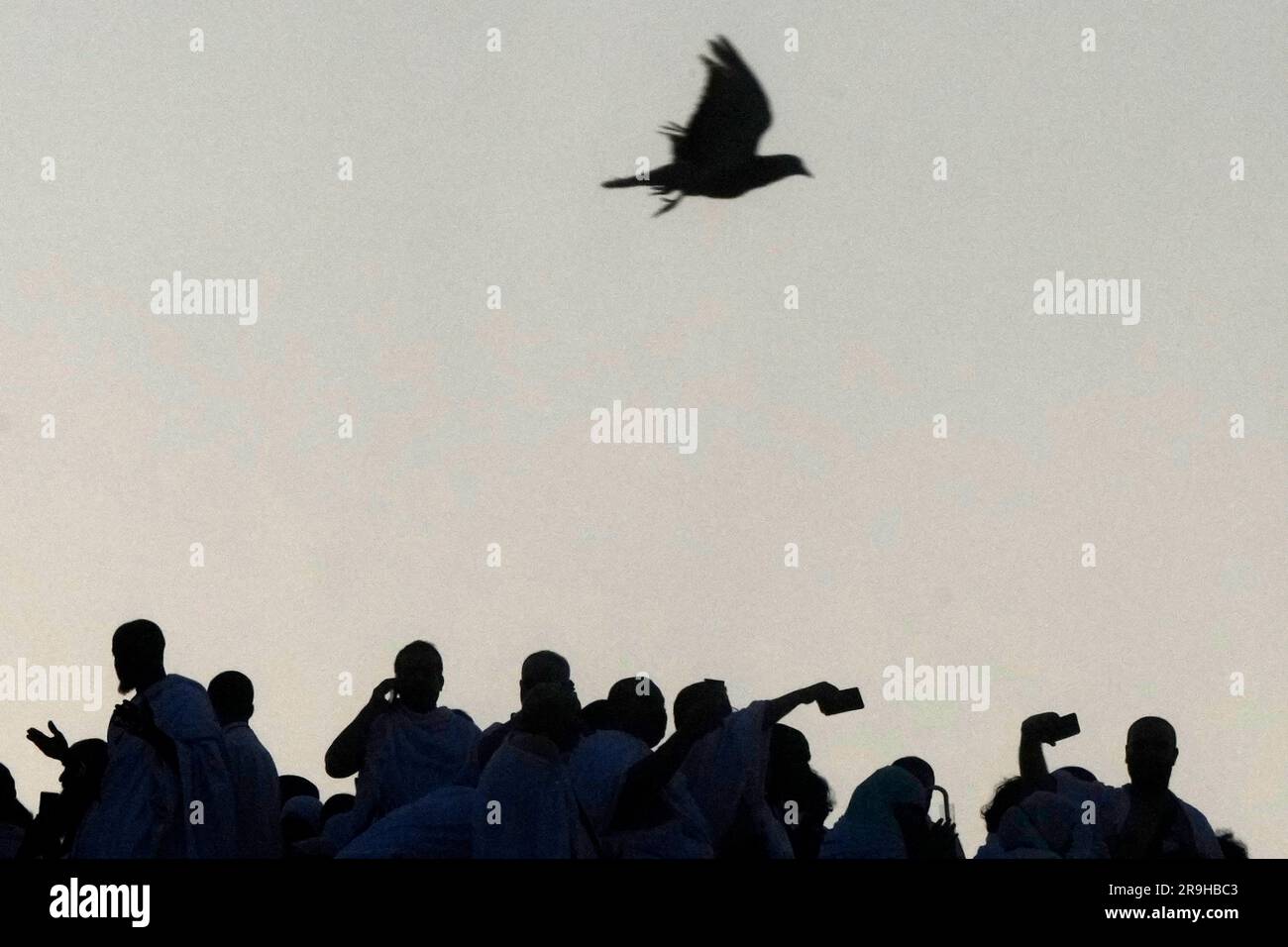 A pigeon flies over Muslim pilgrims on the rocky hill known as the ...
