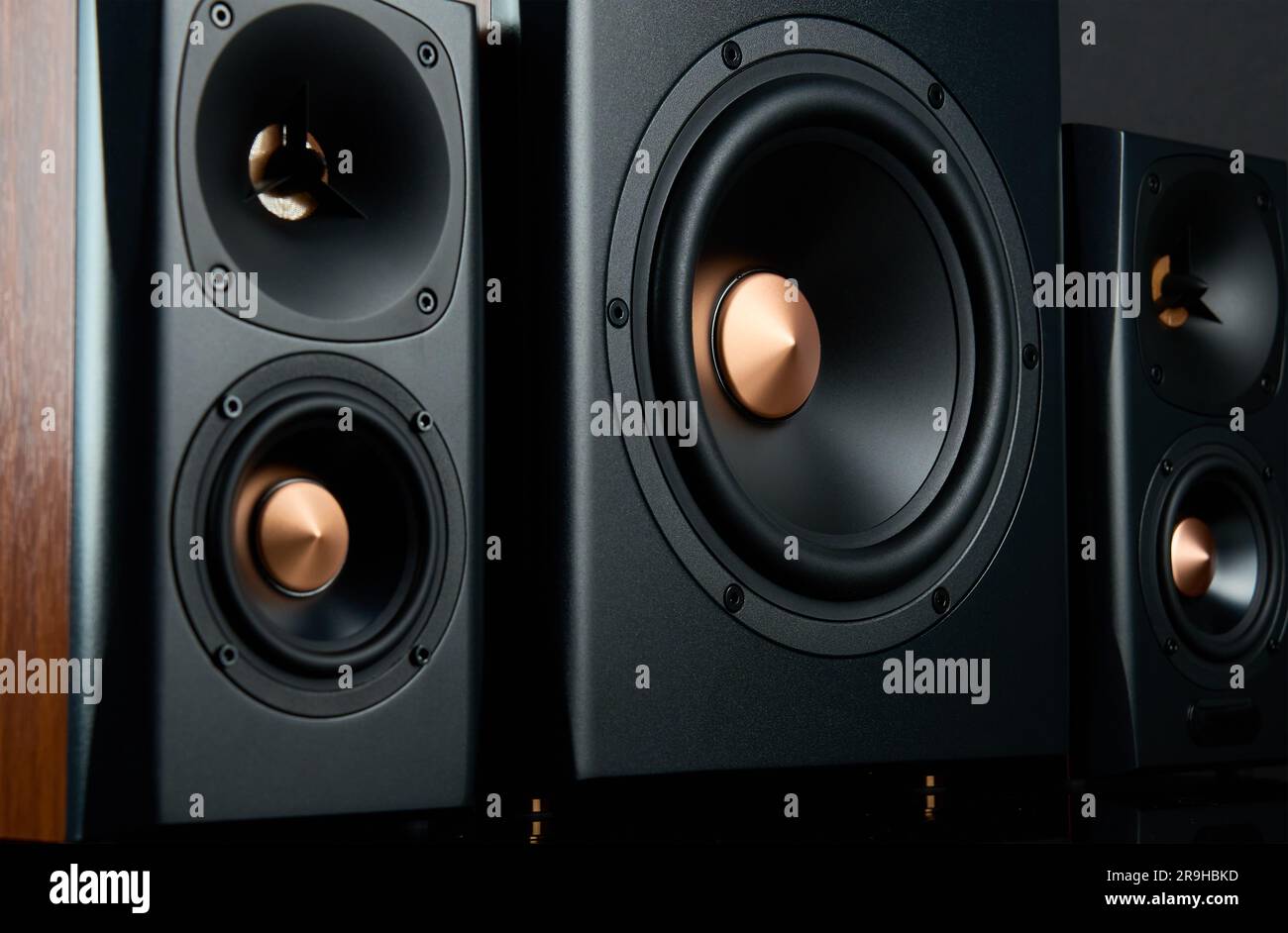 Multimedia acoustic sound speakers. Sound audio system with two ...