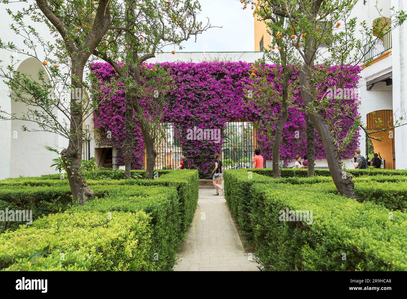 Toniary hi-res stock photography and images - Alamy