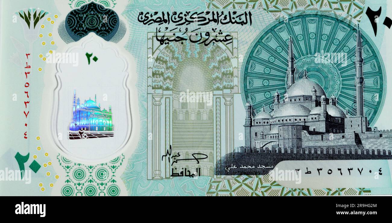 Large fragment of the obverse side of the new Egyptian 20 EGP LE twenty ...