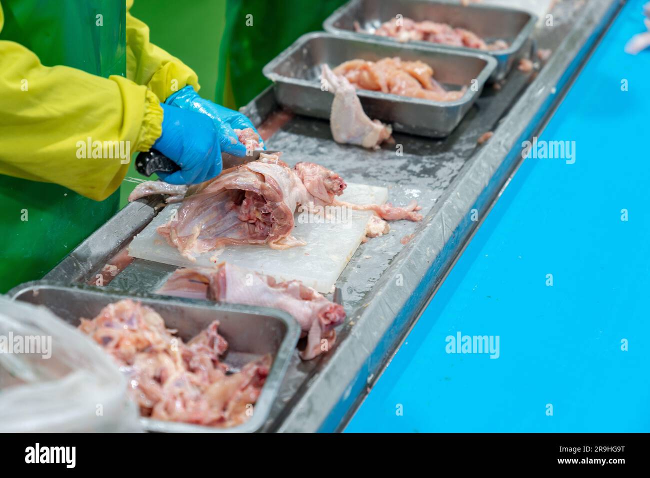 Poultry processing factory hi-res stock photography and images - Alamy