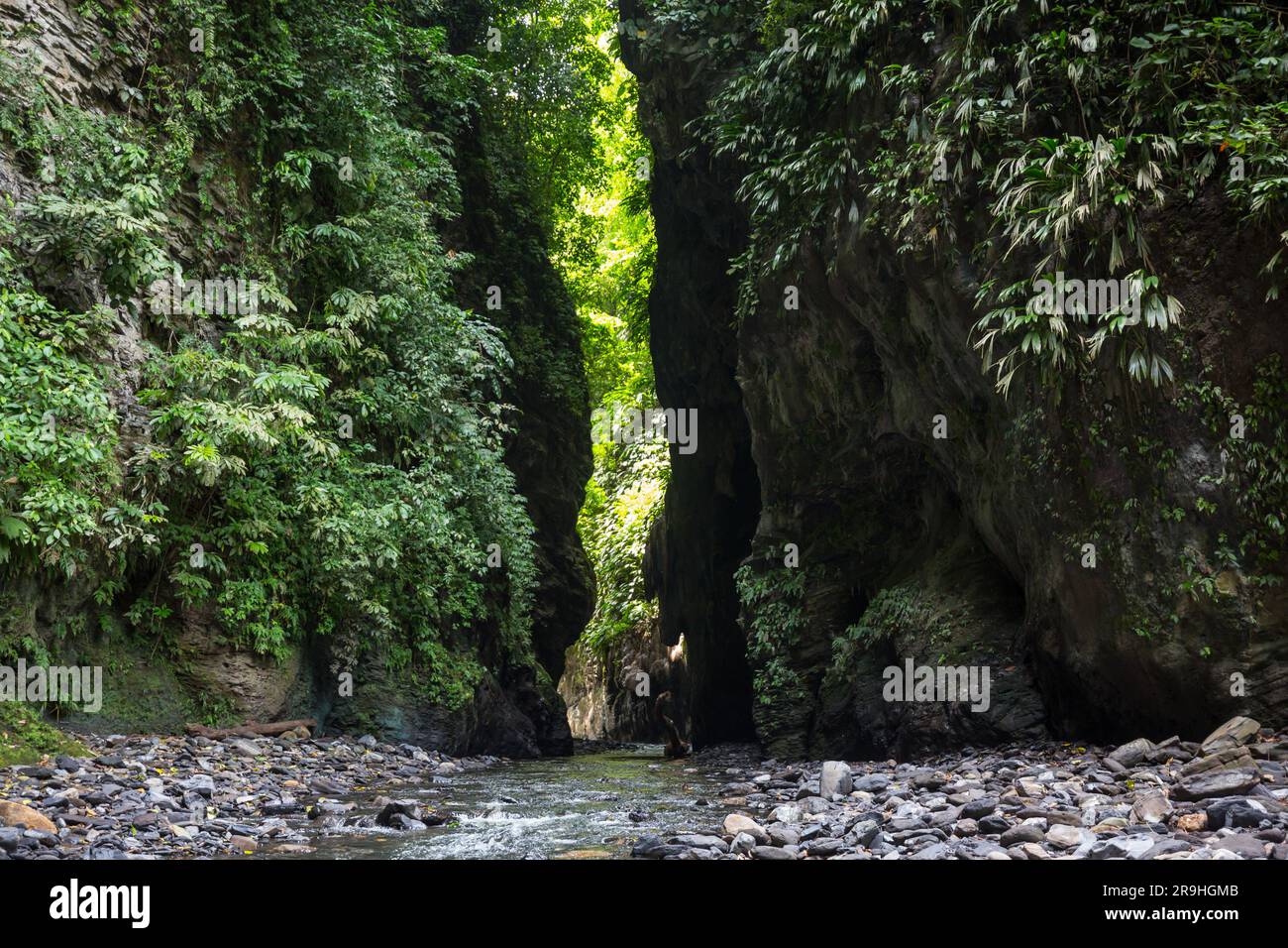 Canyon de la Cristalina in Colombia, South America Stock Photo - Alamy