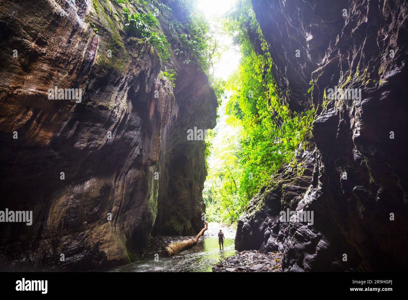 Canyon de la Cristalina in Colombia, South America Stock Photo - Alamy