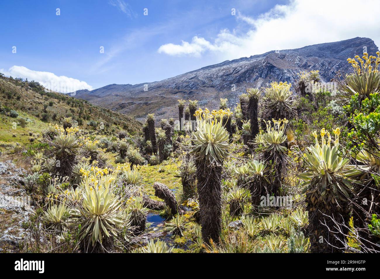 Beautiful view of El Cocuy National Park , Colombia, South America ...
