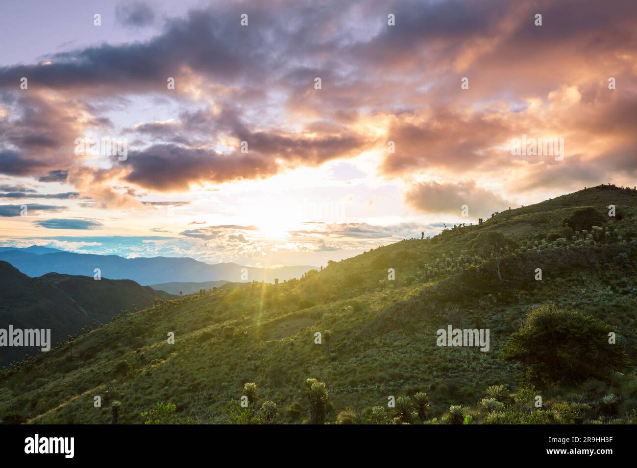 Beautiful high mountains in Colombia * Stock Photo - Alamy