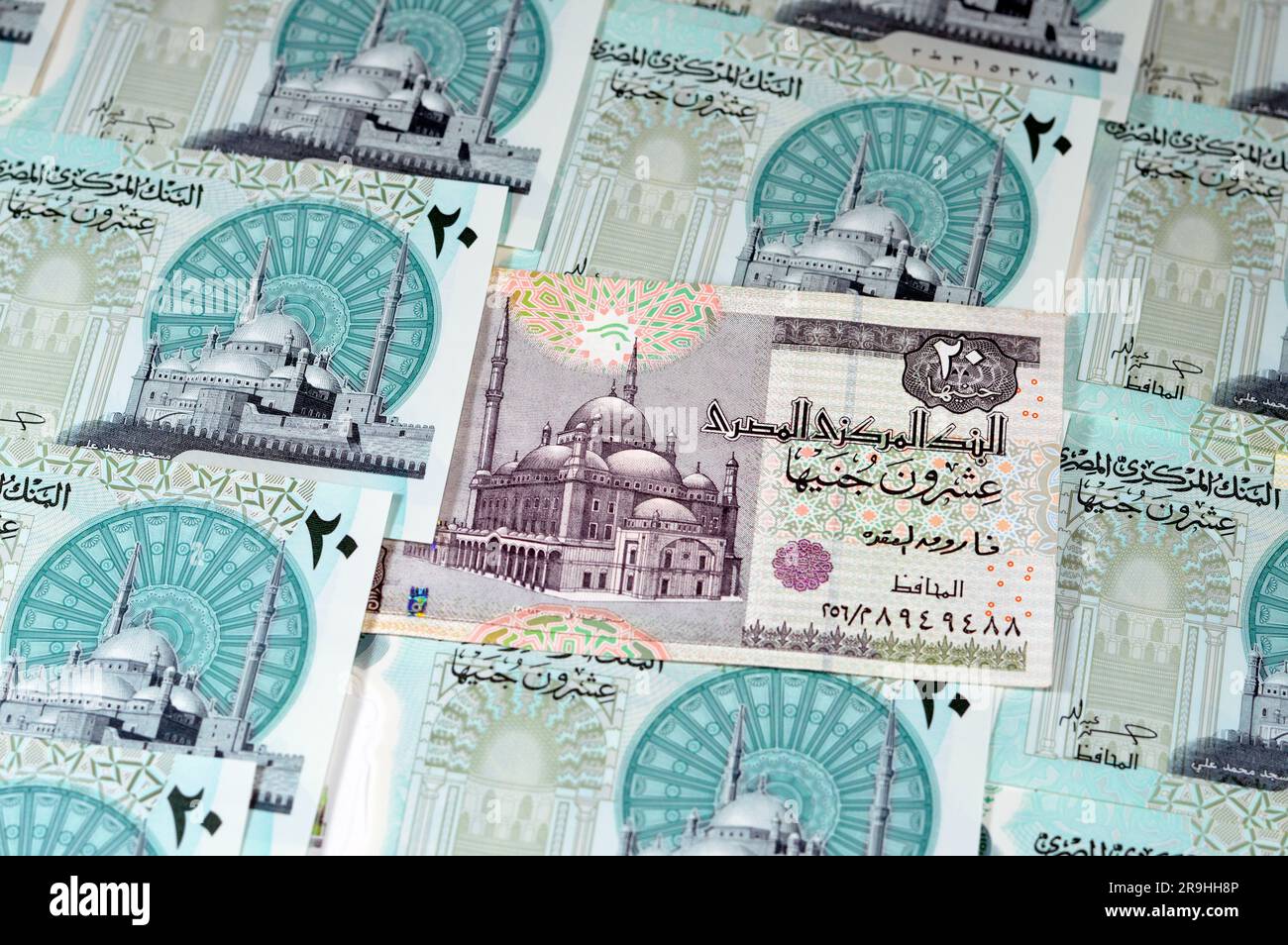 old 20 LE VS new Egyptian 20 EGP LE twenty polymer pounds cash money ...