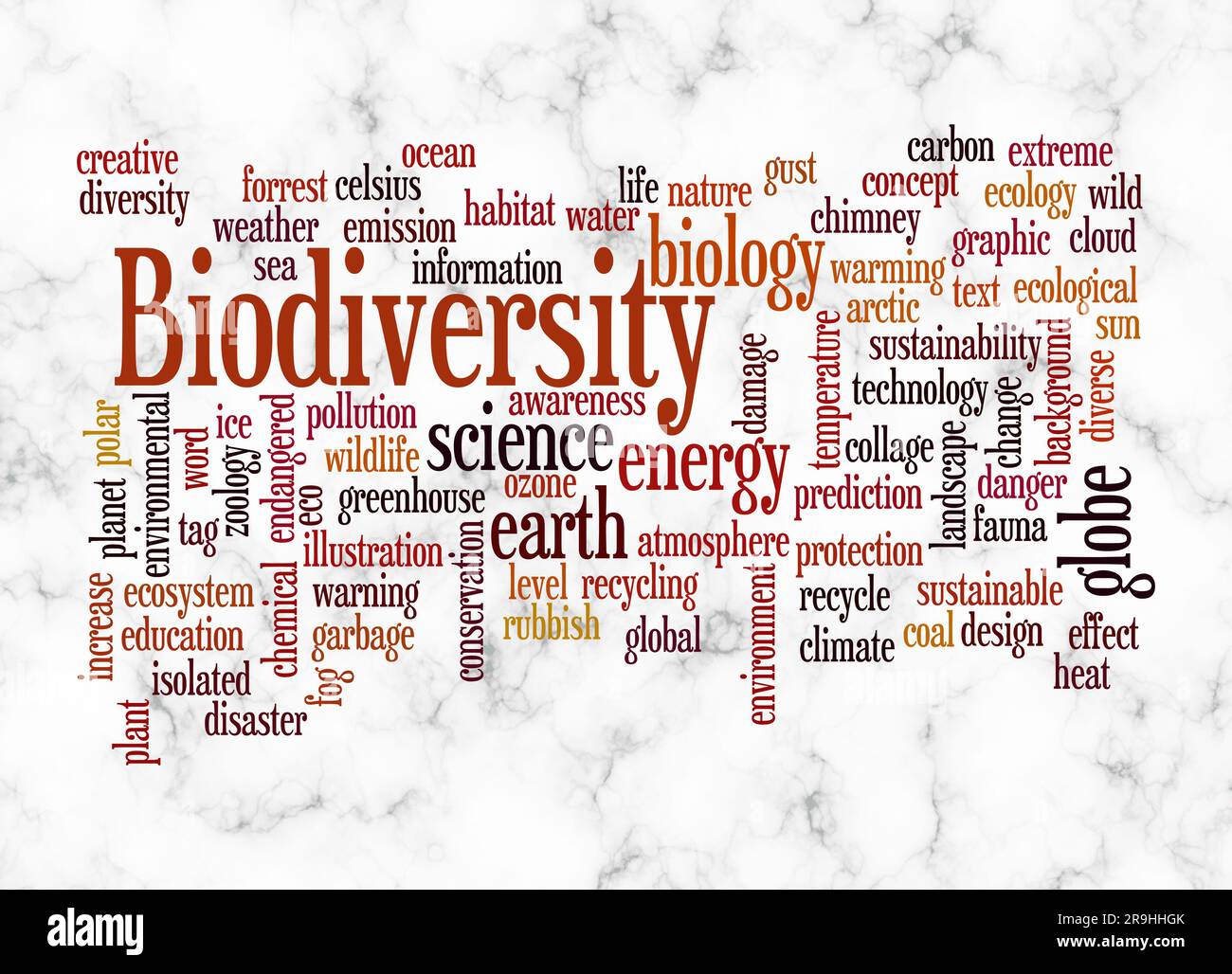 Word Cloud with BIODIVERSITY concept create with text only Stock Photo ...