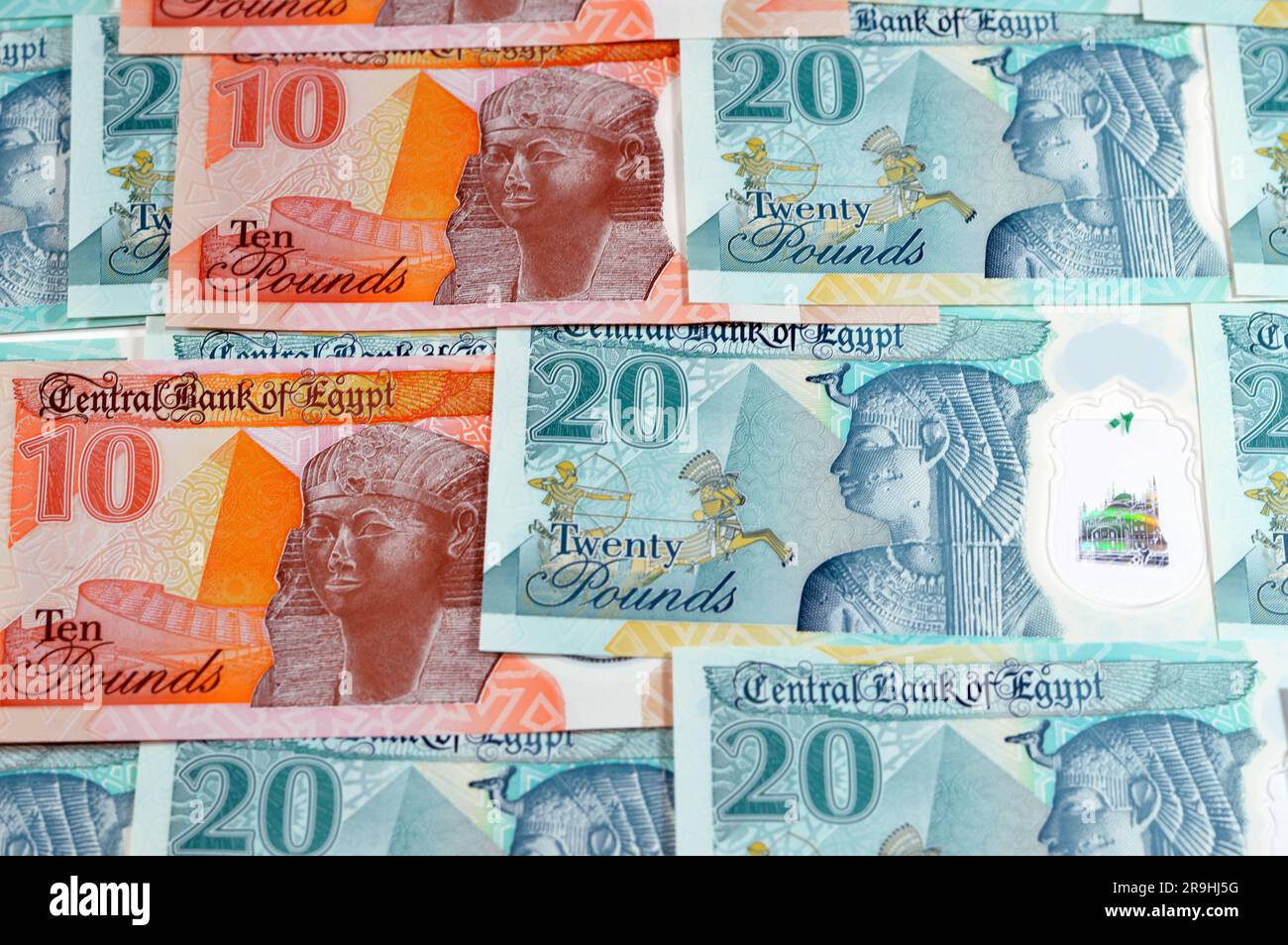 Egyptian new polymer money banknotes cash money bills background of ...