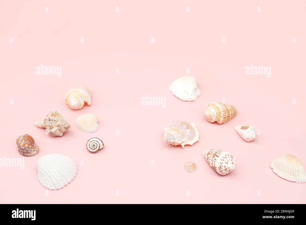 Cosmetics product advertising backdrop. Many different sea shells on ...