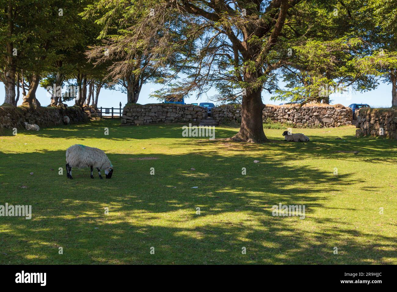 Four Winds Car Park, Merrivale, Dartmoor, Princetown, Yelverton, Devon ...
