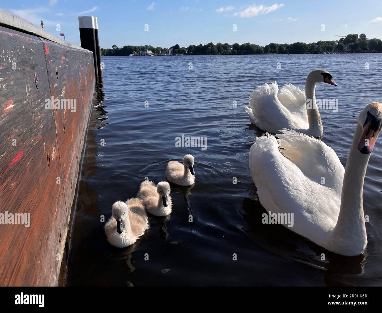 20 degrees south hi-res stock photography and images - Alamy