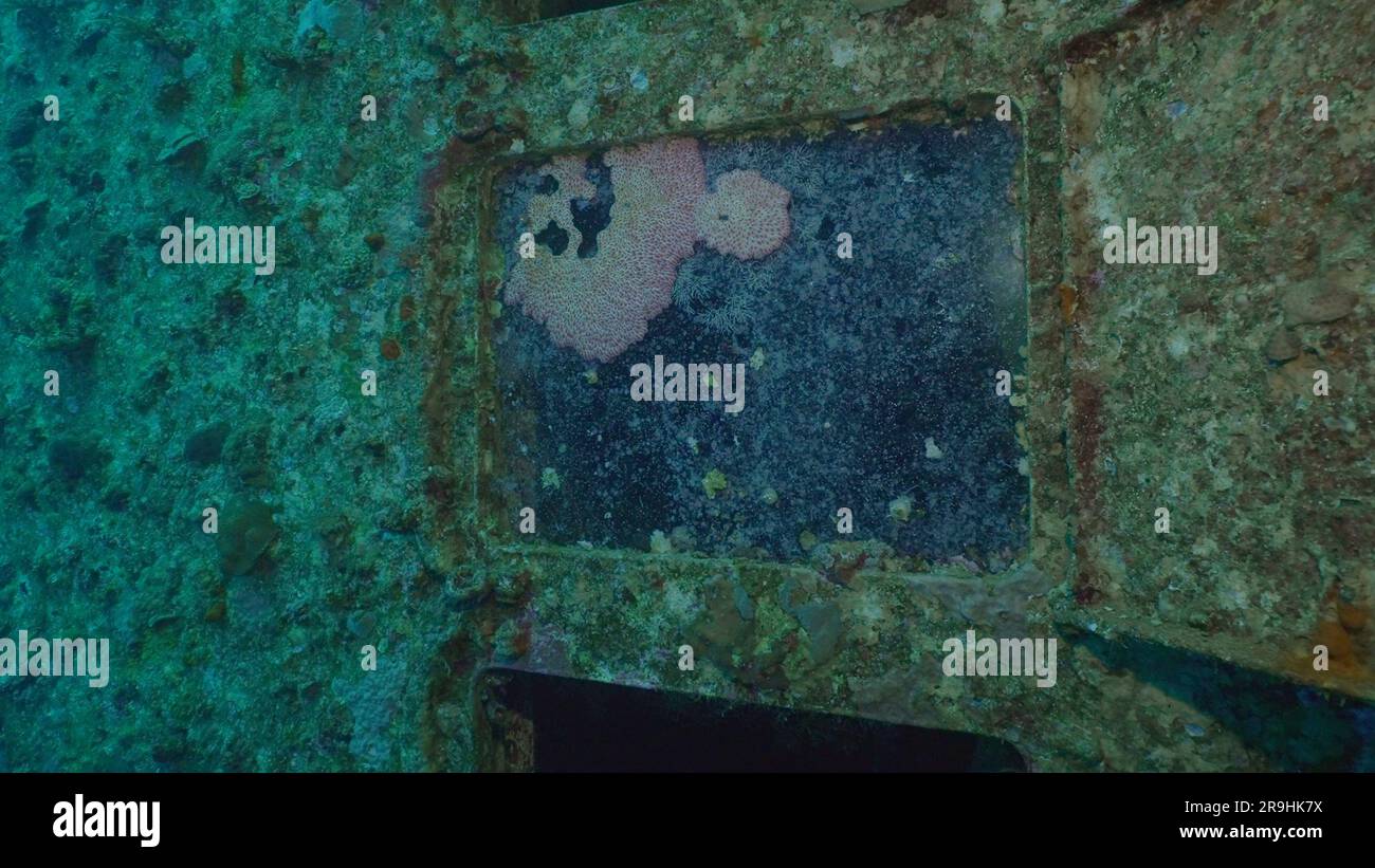 Sea animals growing on window glass of cabin of ferry Salem Express ...