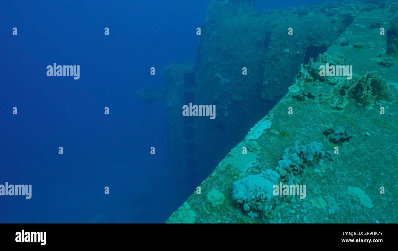 Board overgrown with corals on ferry Salem Express shipwreck on blue ...