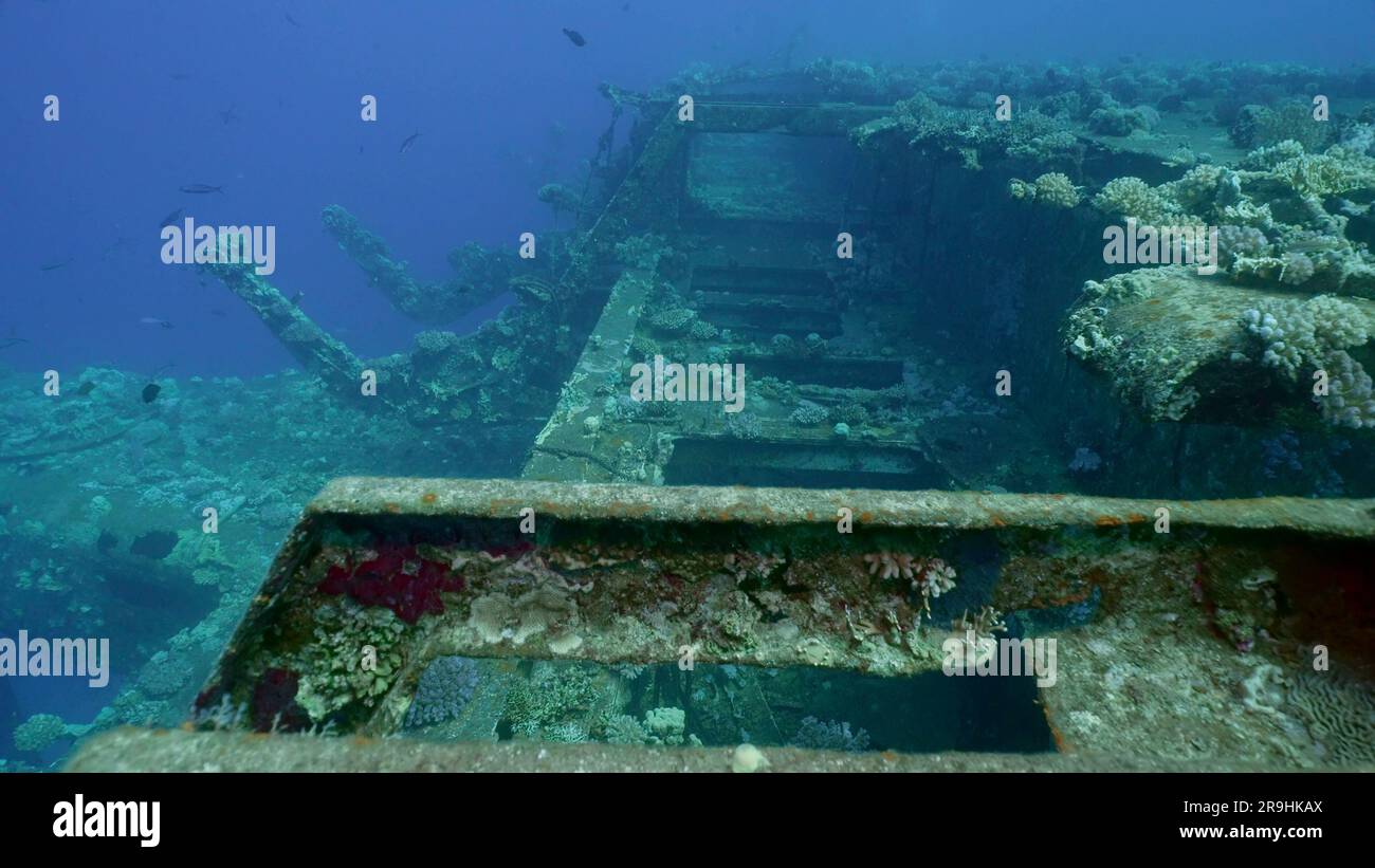 Deck grown with corals of ferry Salem Express shipwreck on blue water ...