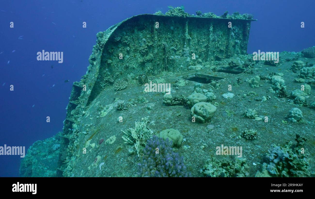 Board and cabin overgrown with corals on the ferry Salem Express ...