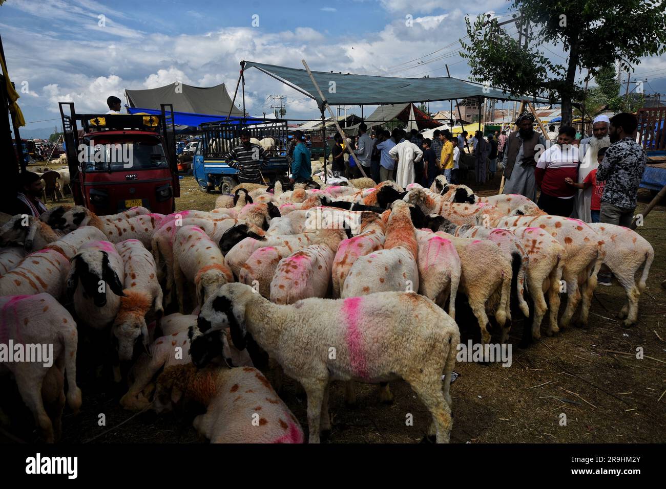 Srinagar, India. 27th June, 2023. Kashmiri Muslims gather at a ...