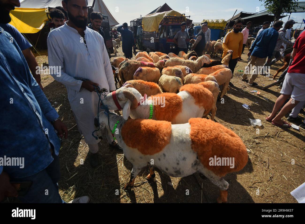Srinagar, India. 27th June, 2023. Kashmiri Muslims gather at a ...