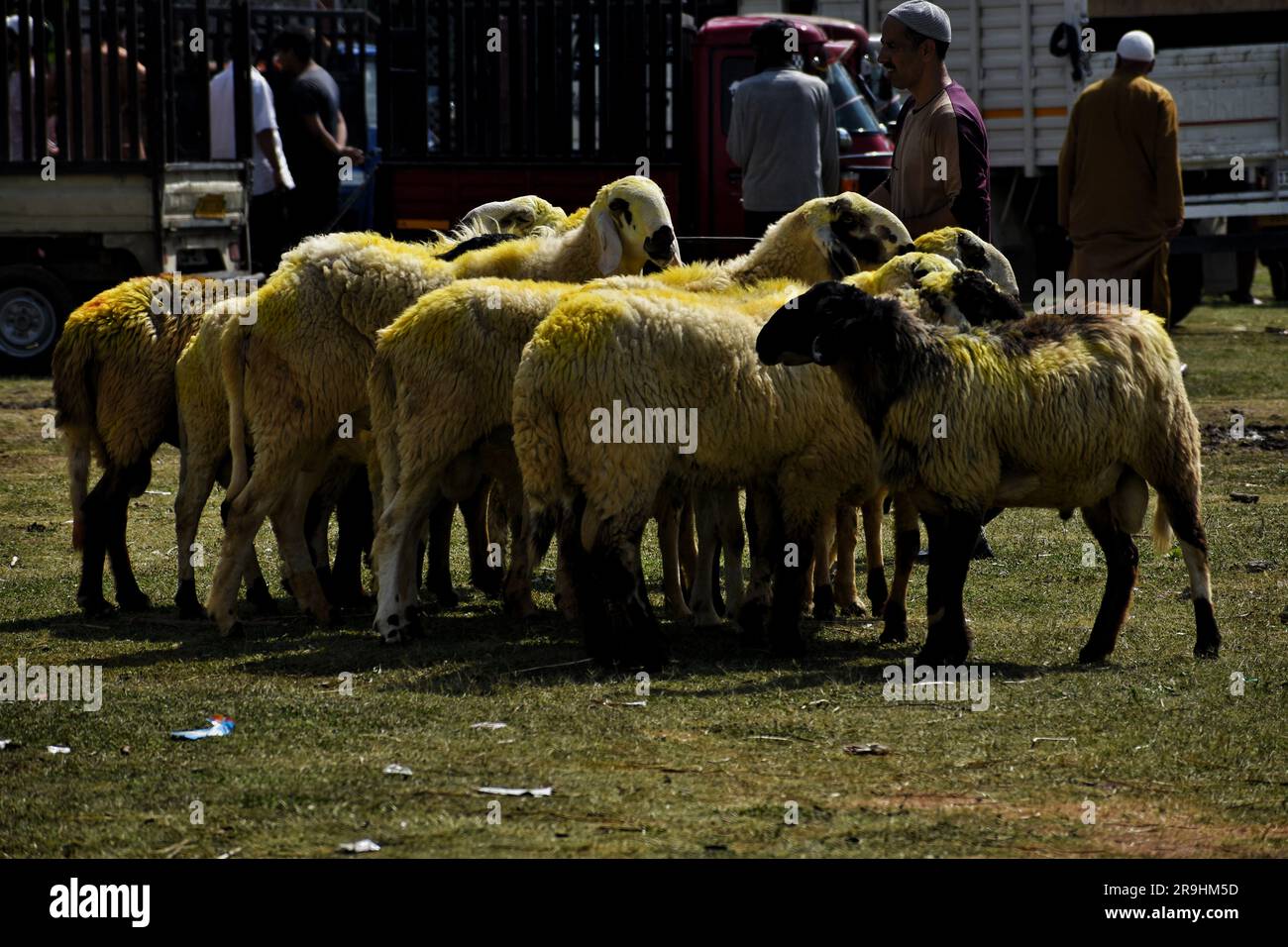 Srinagar, India. 27th June, 2023. Traders are seen waiting for buyers ...
