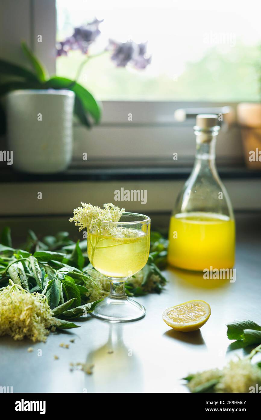 Glass with elderflower Cordial on table with bottle and ingredients ...