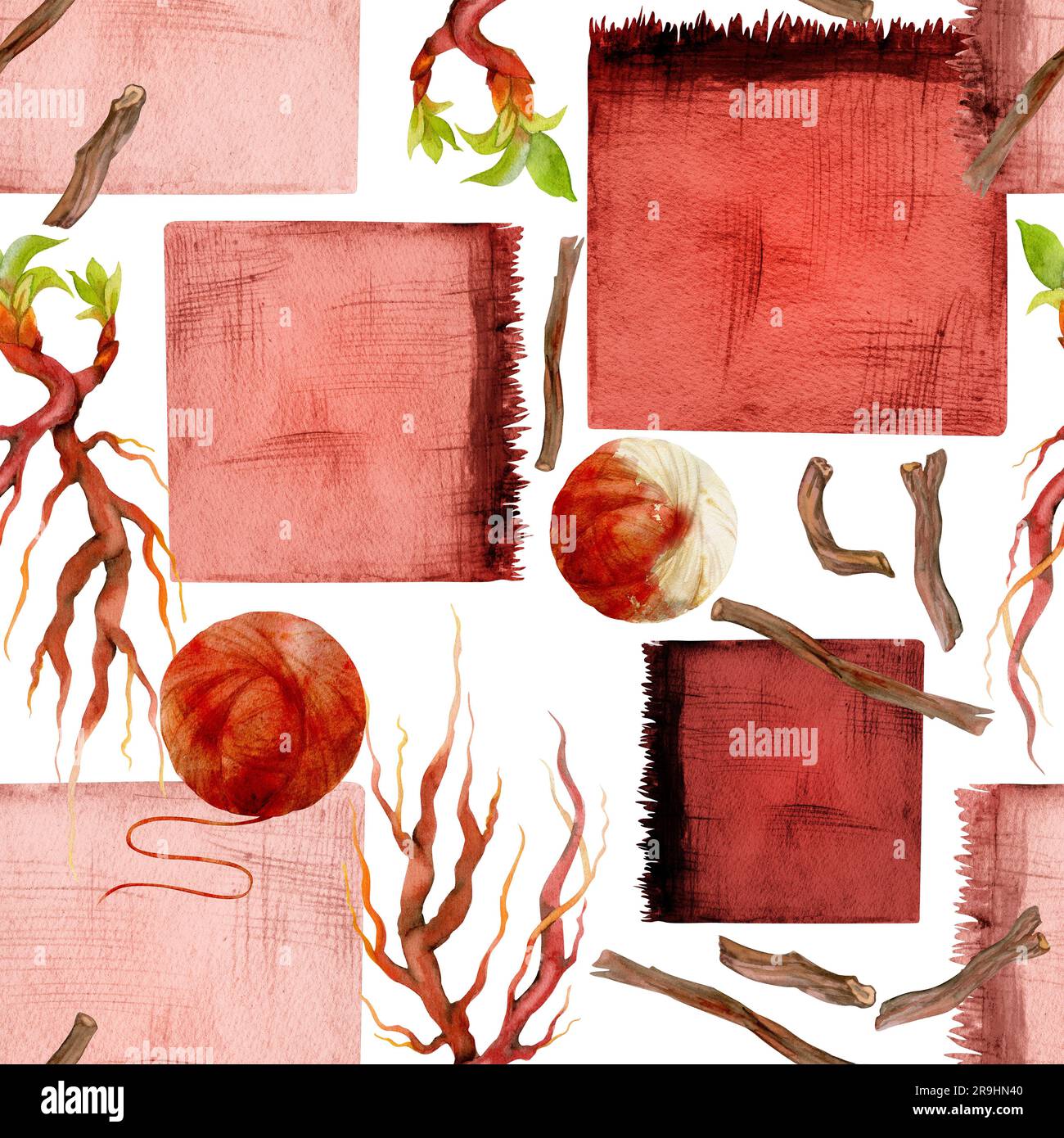 Hand drawn watercolor madder root coloring natural plant dye hobby ...