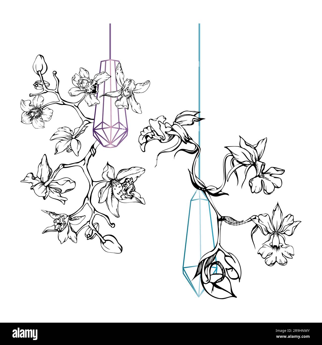 Hand drawn vector ink orchid flowers and branches, monochrome, detailed ...