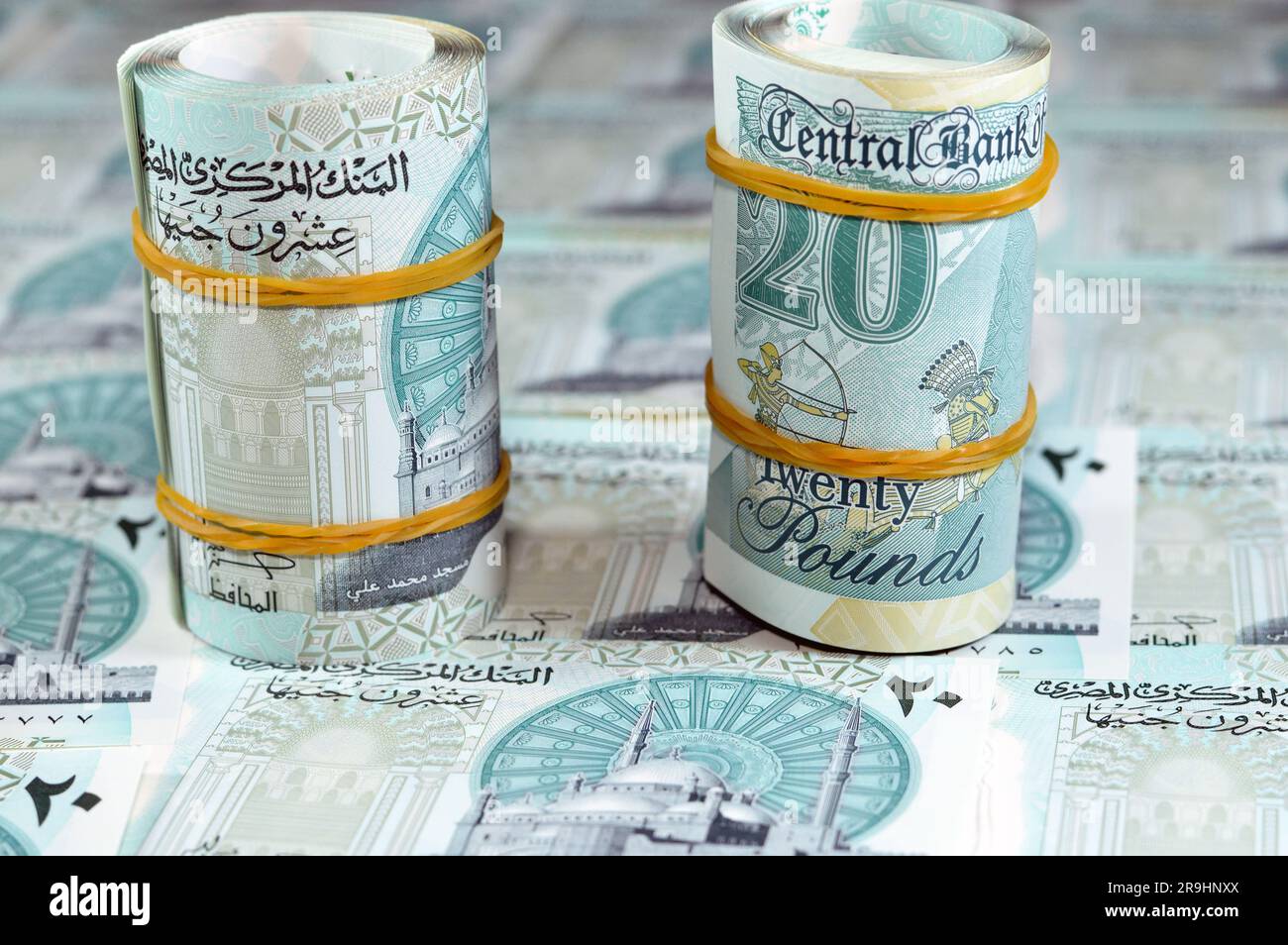 new Egyptian 20 EGP LE twenty polymer pounds cash money banknote bill ...