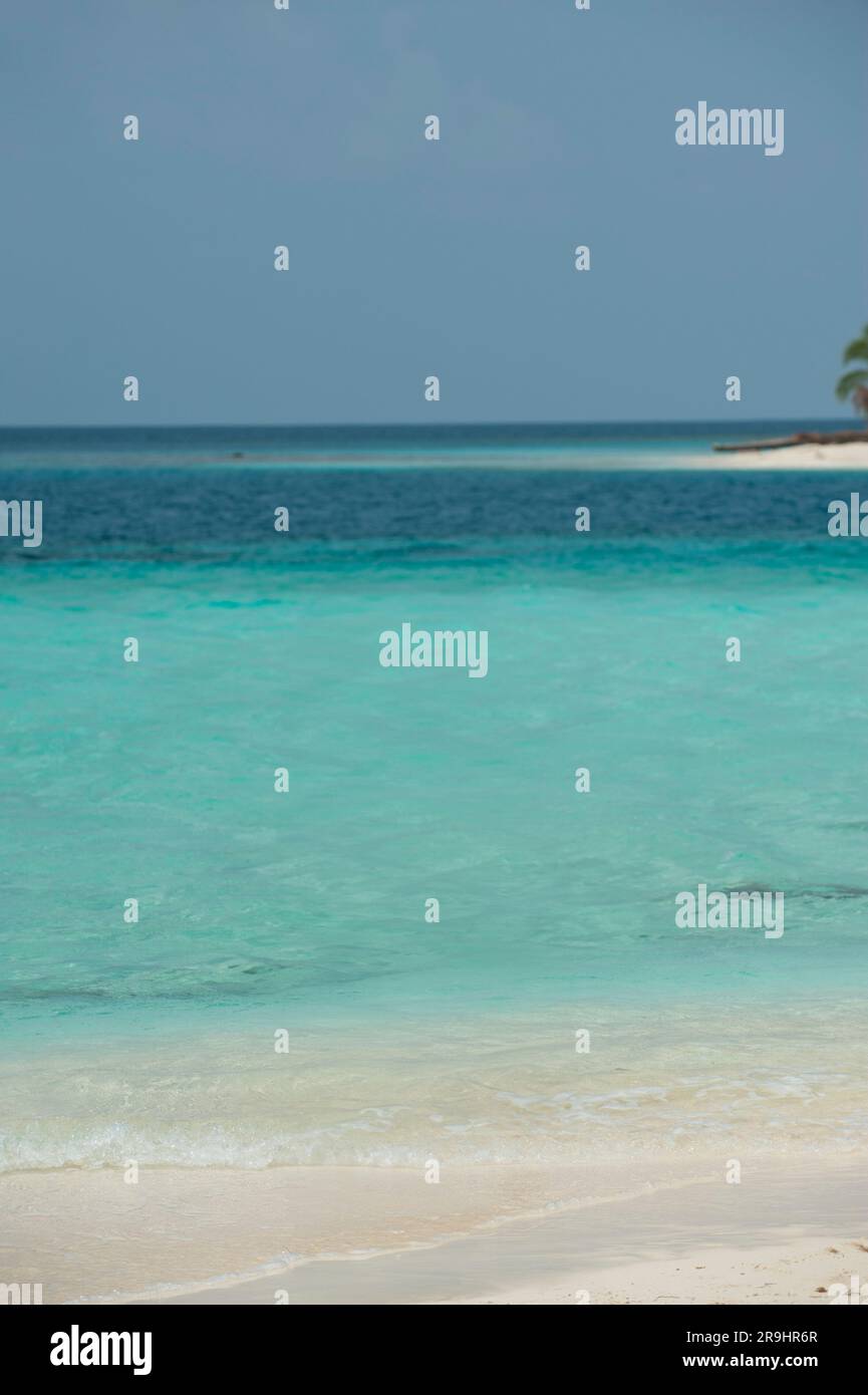 Tropical beach with palm trees during a sunny day, Guna Yala Comarca ...