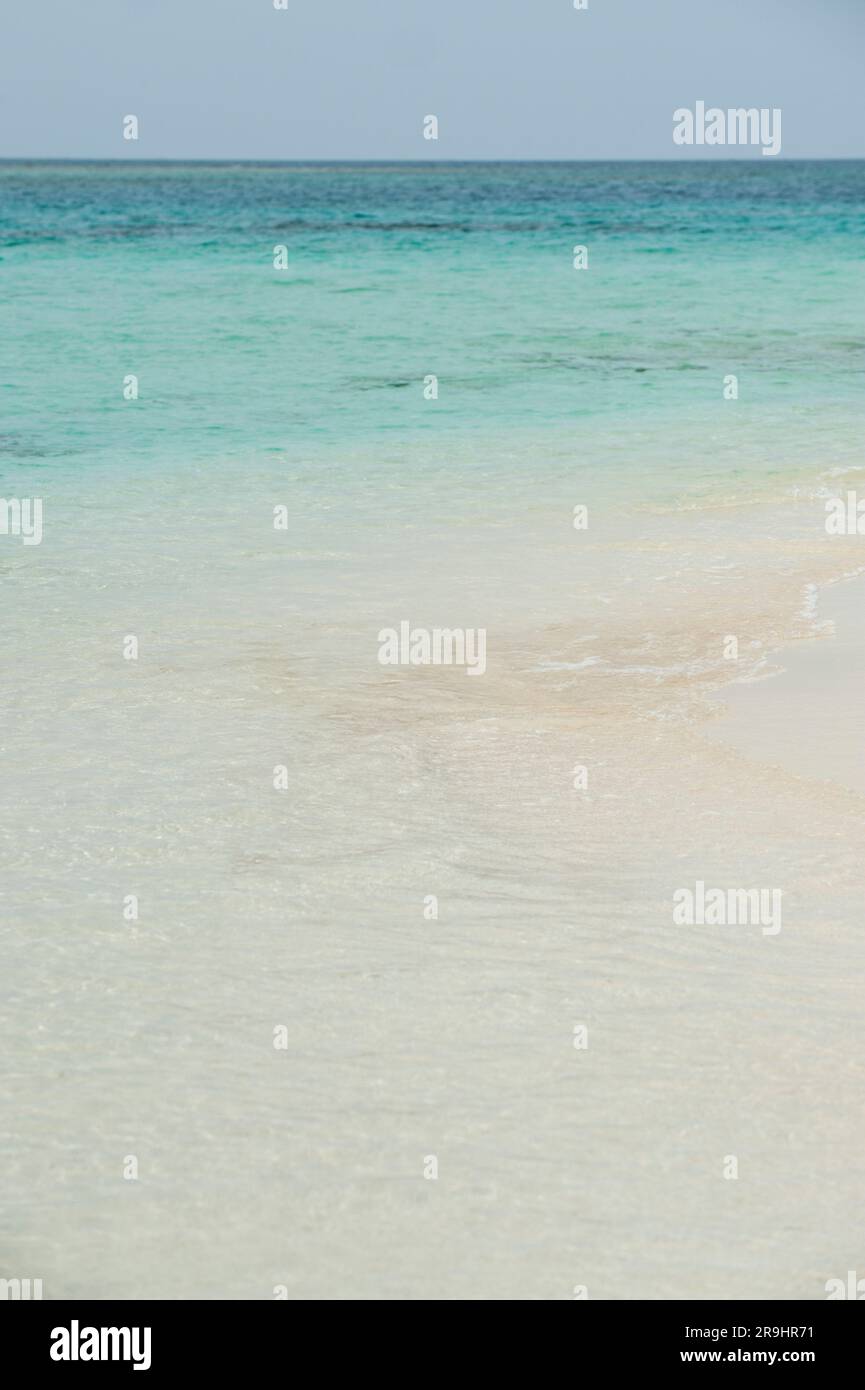 Tropical beach with palm trees during a sunny day, Guna Yala Comarca ...