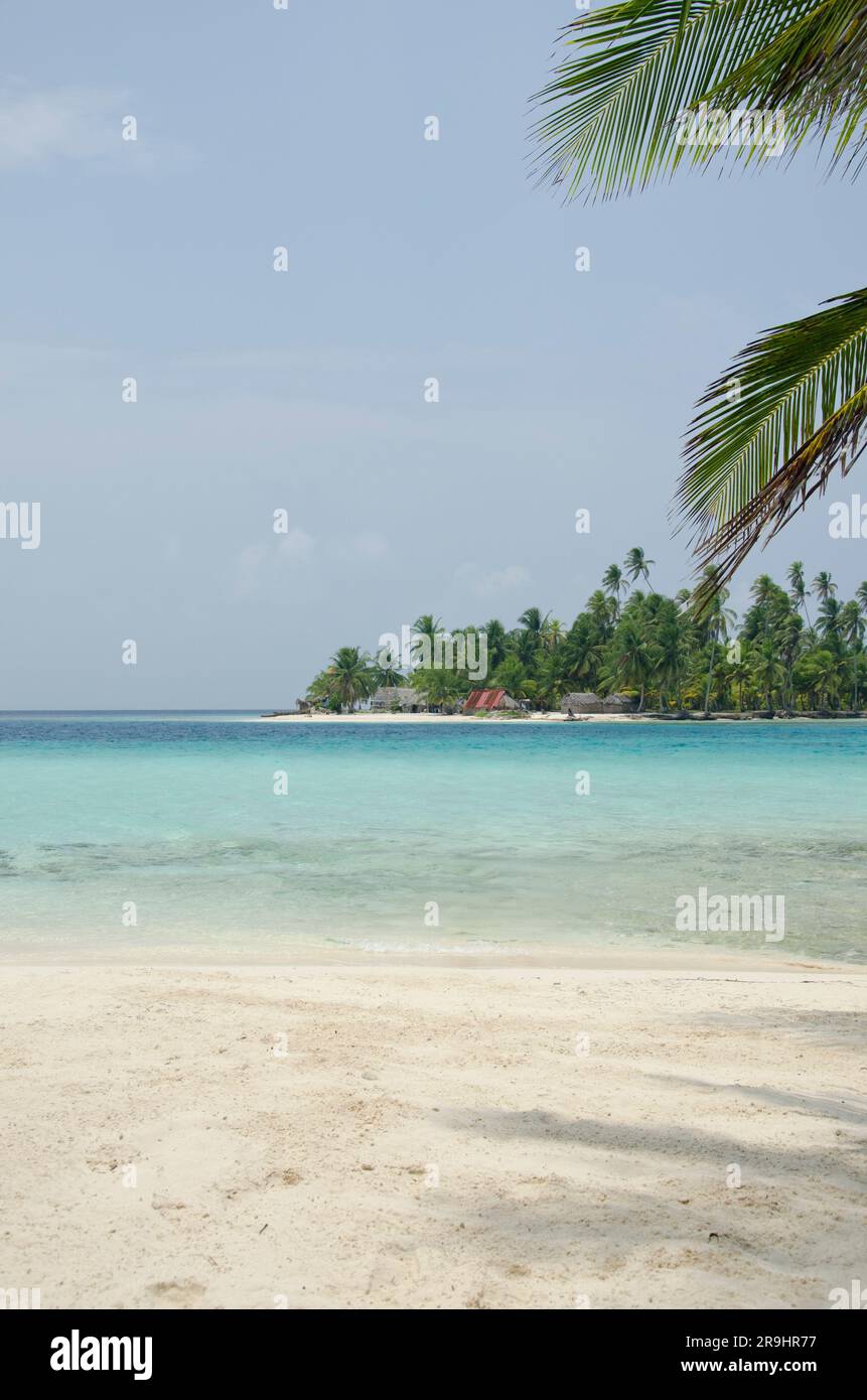 Tropical beach with palm trees during a sunny day, Guna Yala Comarca ...