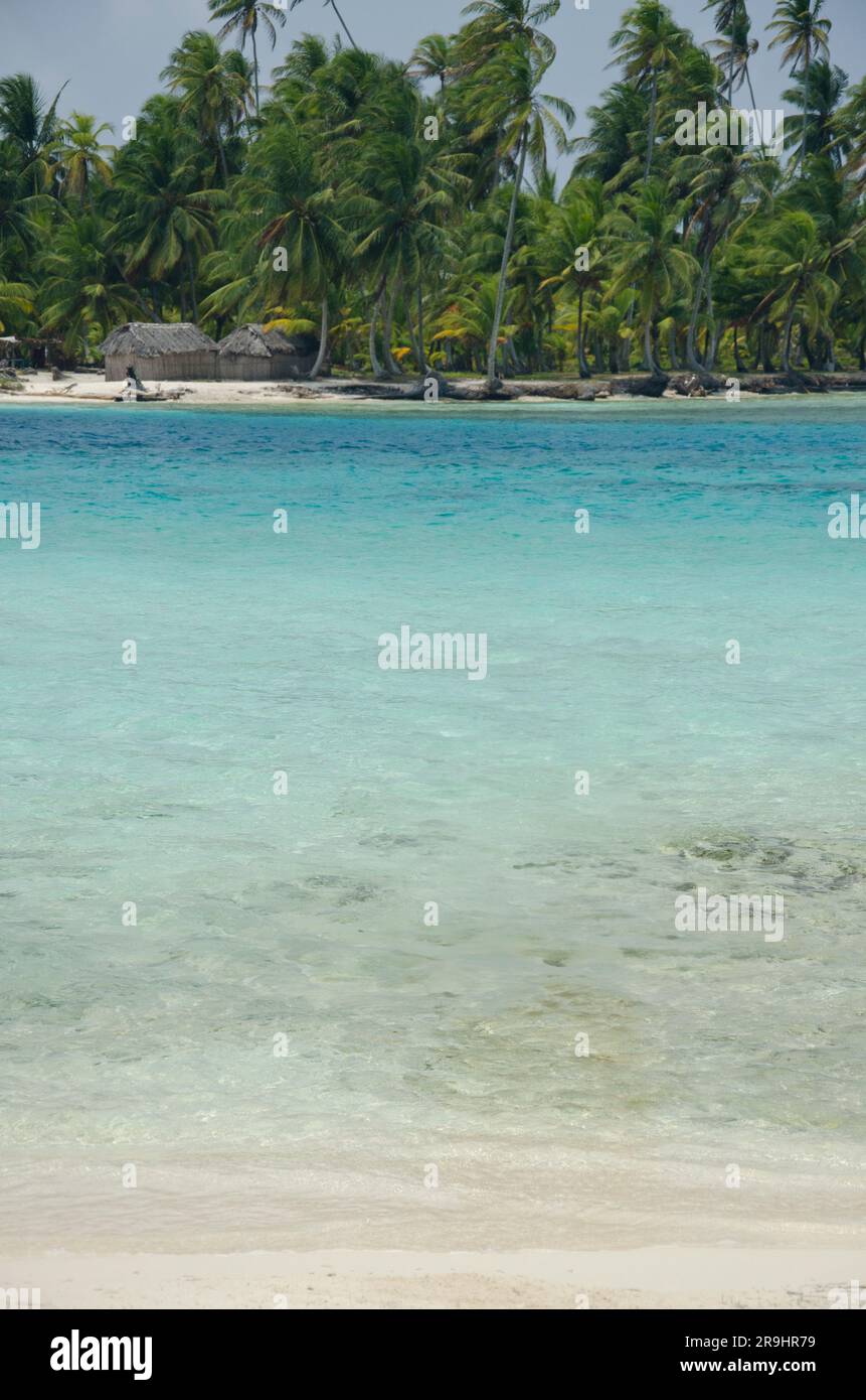 Tropical beach with palm trees during a sunny day, Guna Yala Comarca ...