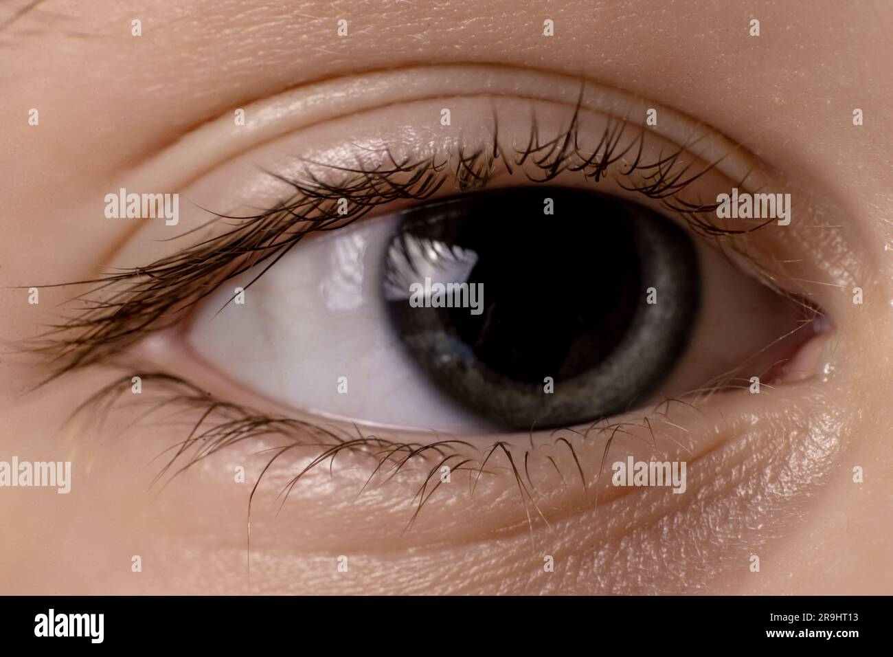 Baby's eye close-up. Big pupil in the eye Stock Photo - Alamy