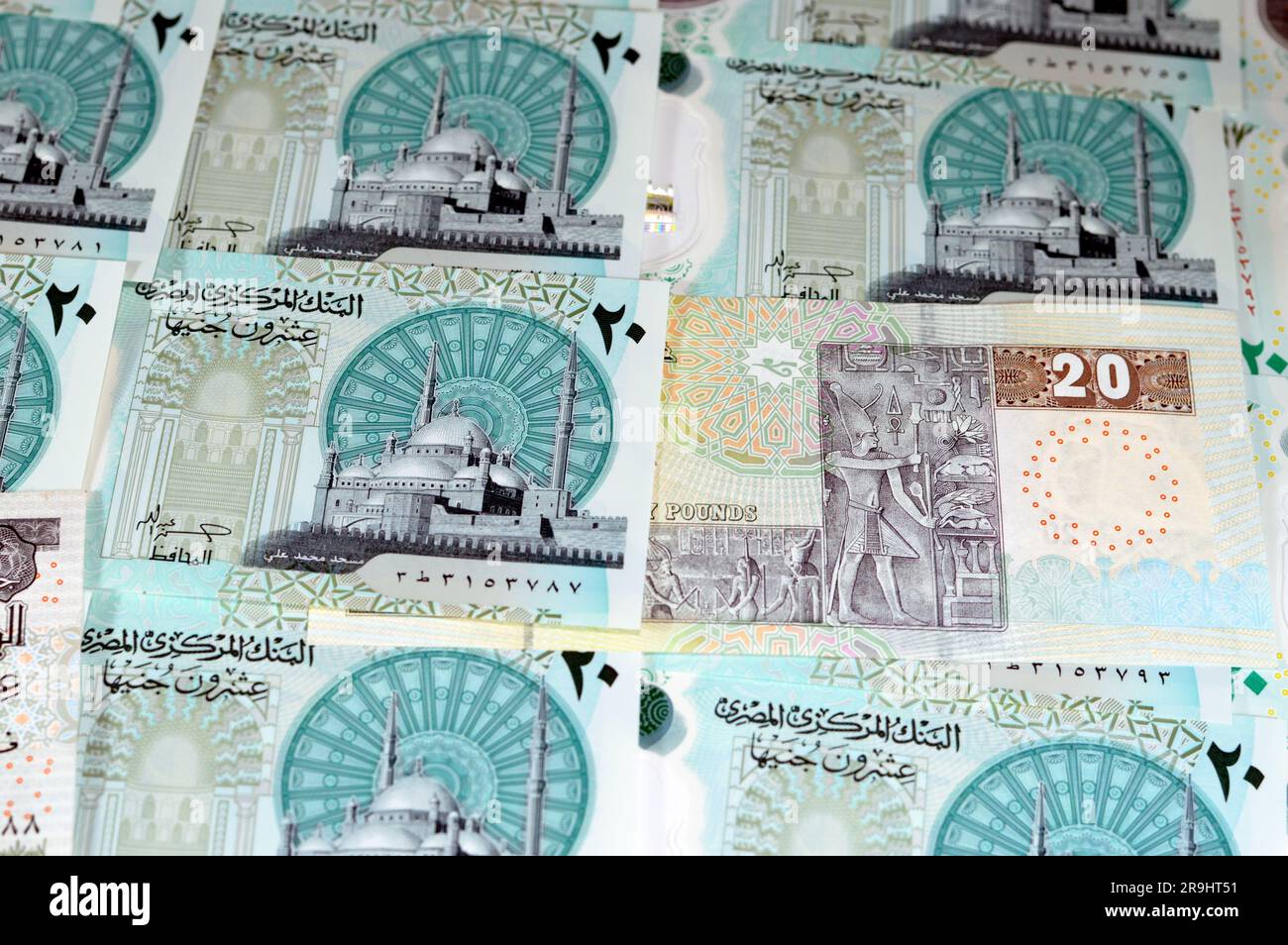 old 20 LE VS new Egyptian 20 EGP LE twenty polymer pounds cash money ...