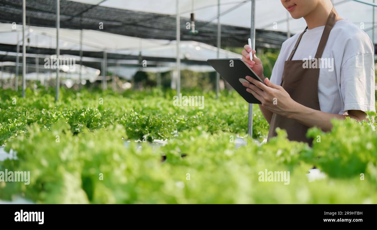 Farmer plantation checking quality by tablet agriculture modern ...