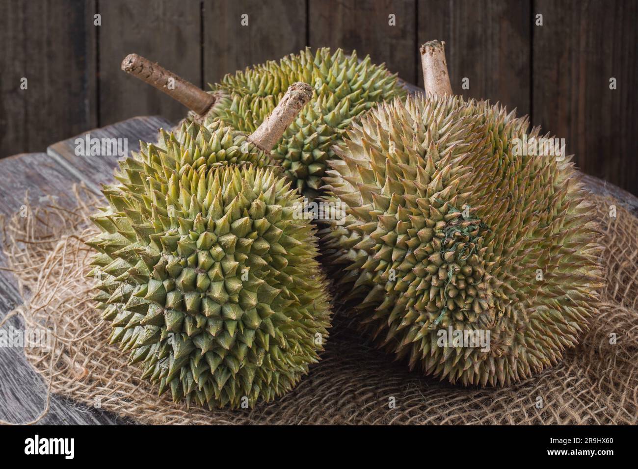 Durian fruit cut in half on a wooden table. The durian is the edible ...