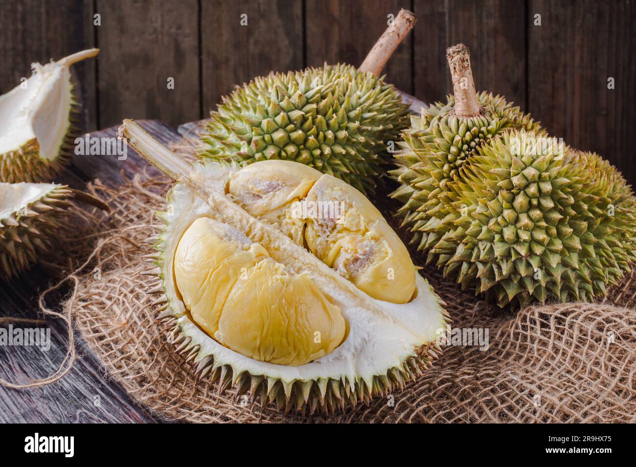 Durian fruit cut in half on a wooden table. The durian is the edible ...