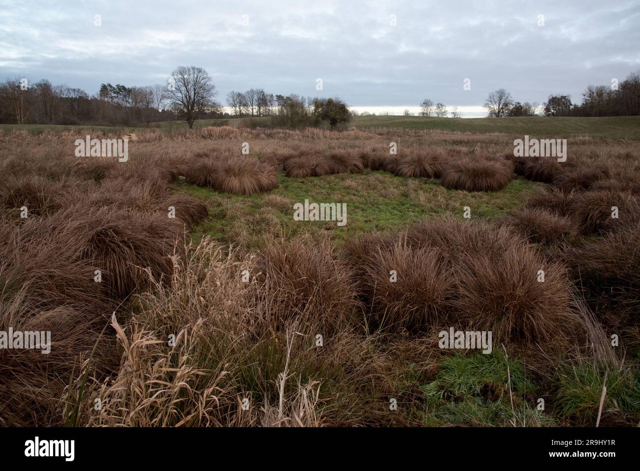 Ice age terminal moraines are still orming Uckermark county in ...
