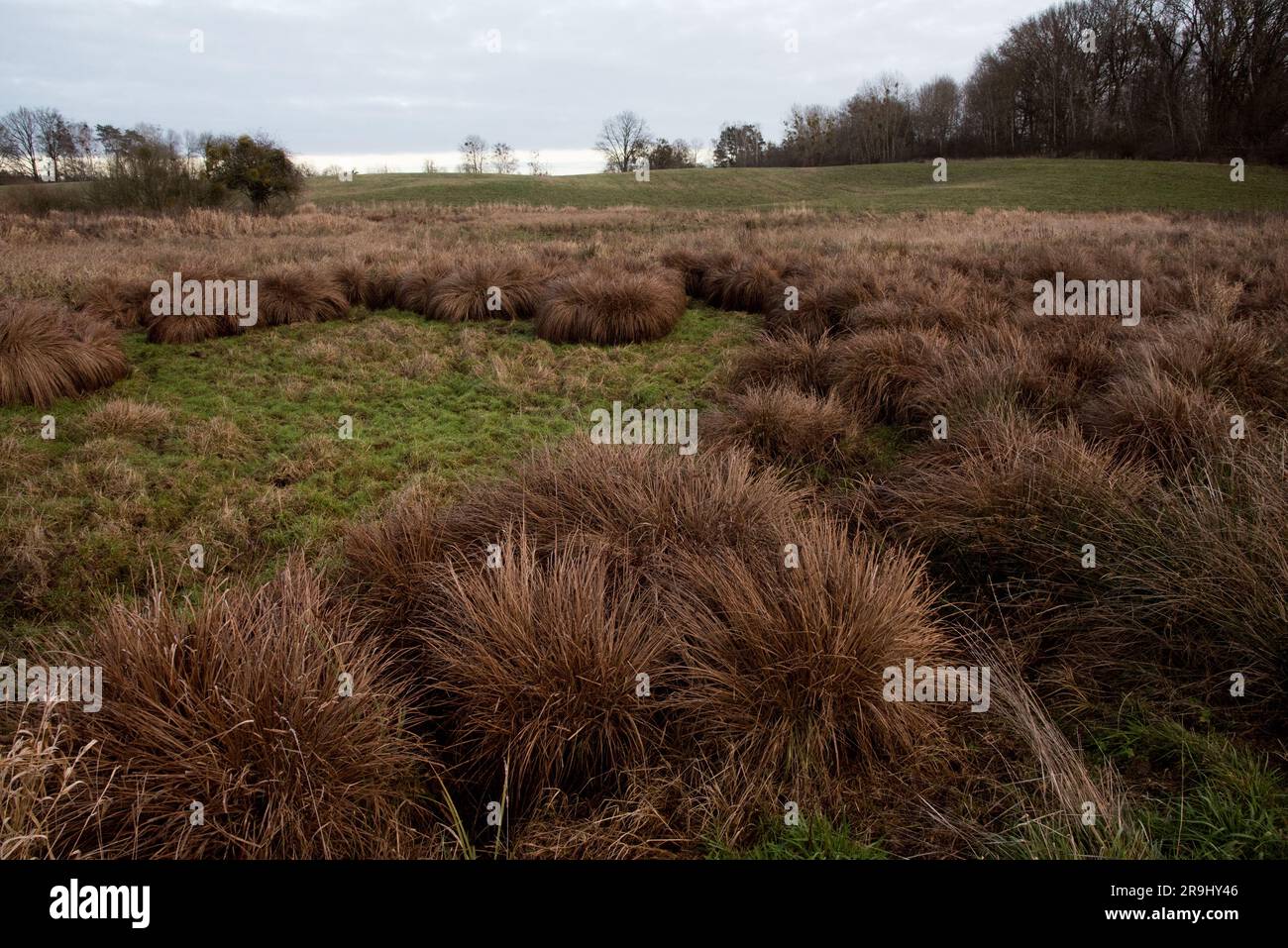 Ice age terminal moraines are still orming Uckermark county in ...