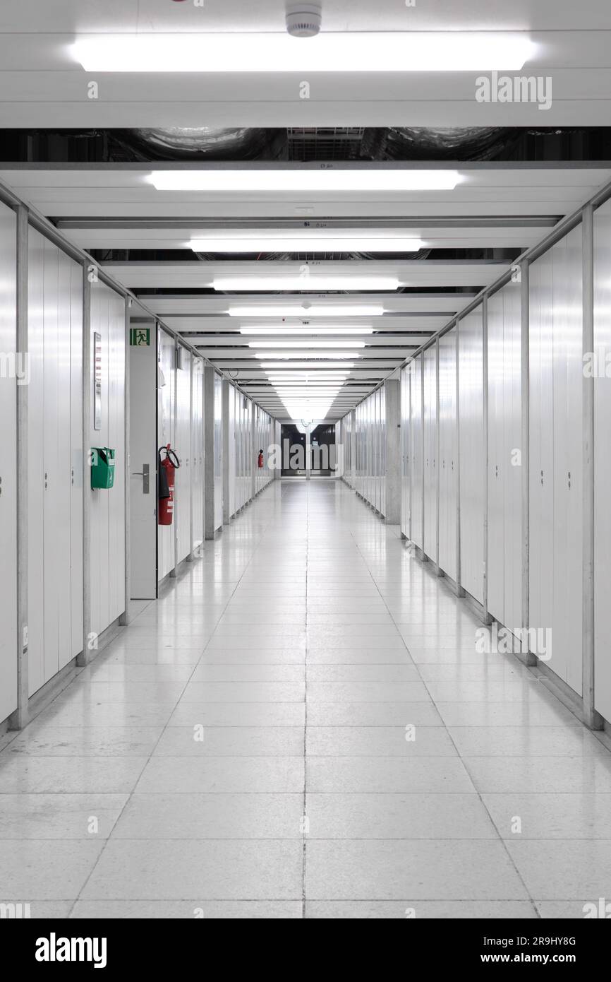 Long interior empty corridor hallway illuminated by neon lights with ...