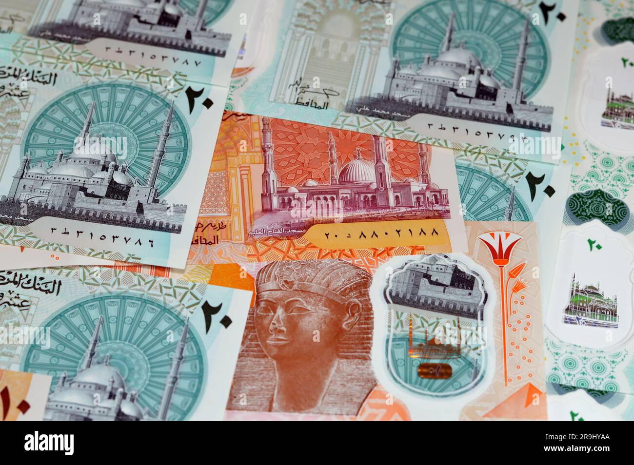 Egyptian new polymer money banknotes cash money bills background of ...