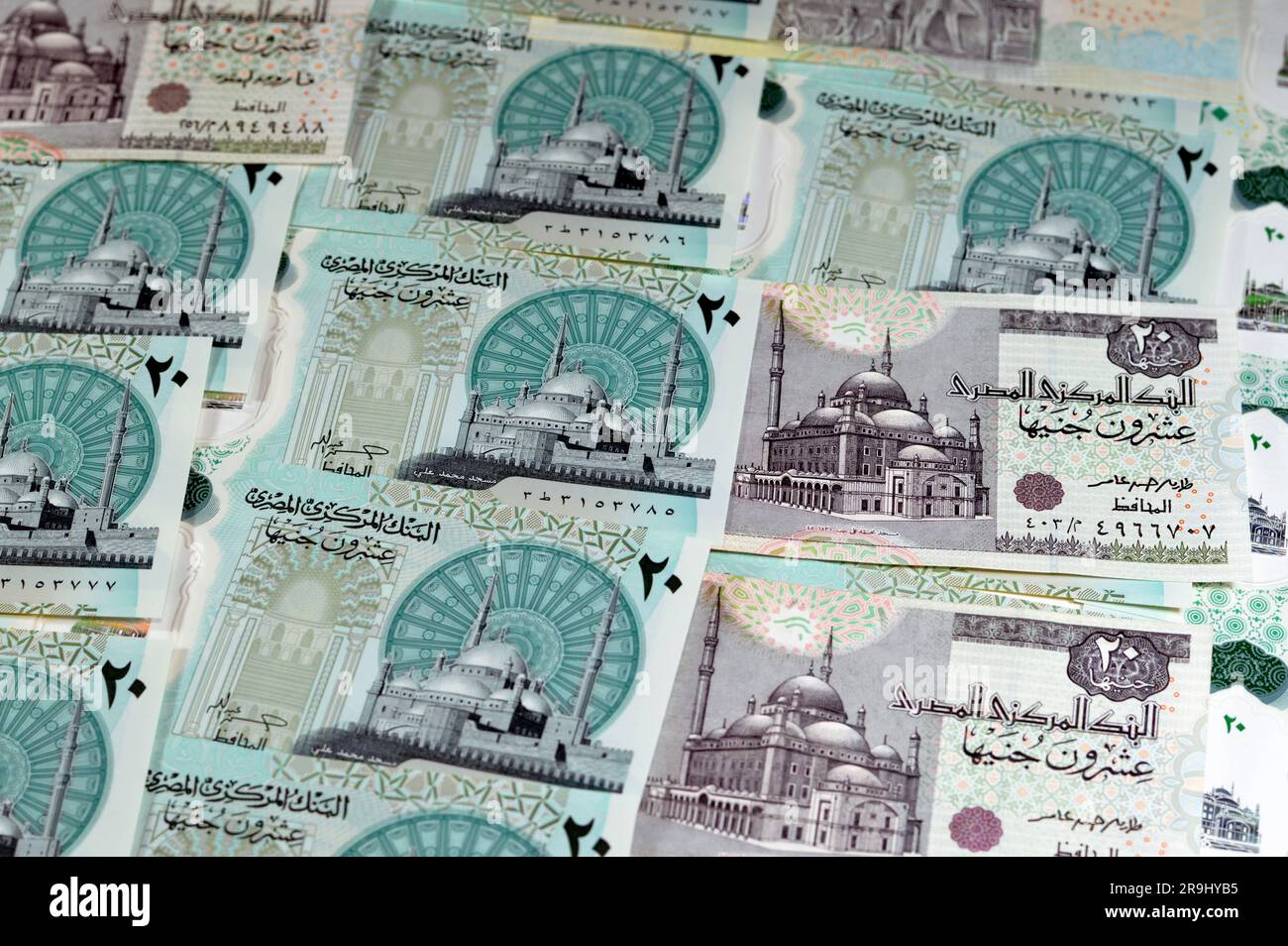 old 20 LE VS new Egyptian 20 EGP LE twenty polymer pounds cash money ...