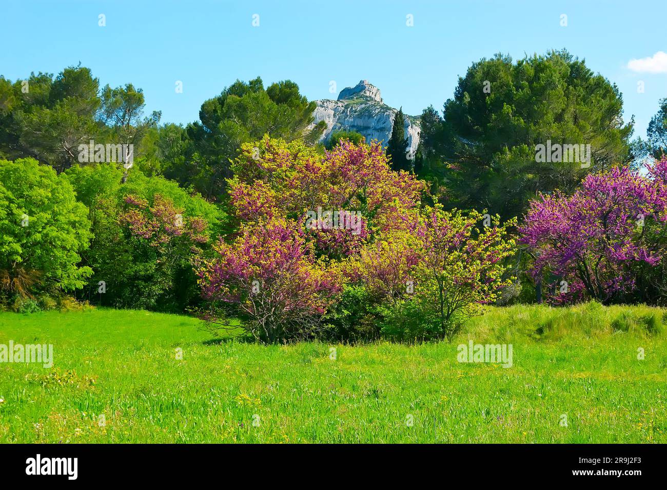 The pleasant walk in lush and green Park d'Amour with a view on rocky ...