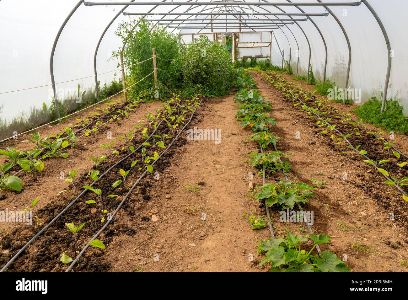 Dartington hall interior hi-res stock photography and images - Alamy